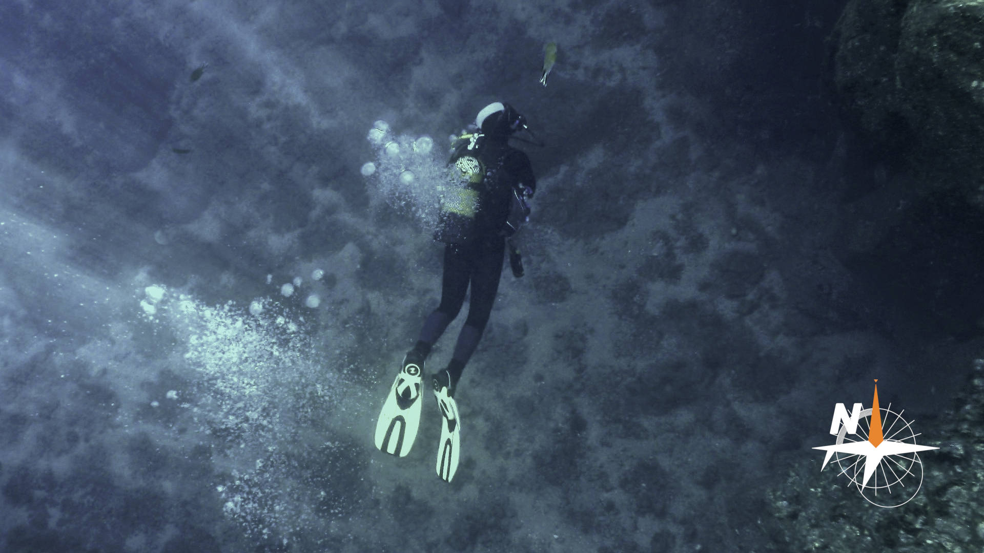 The Ocean: Our Common Good – Navalapp